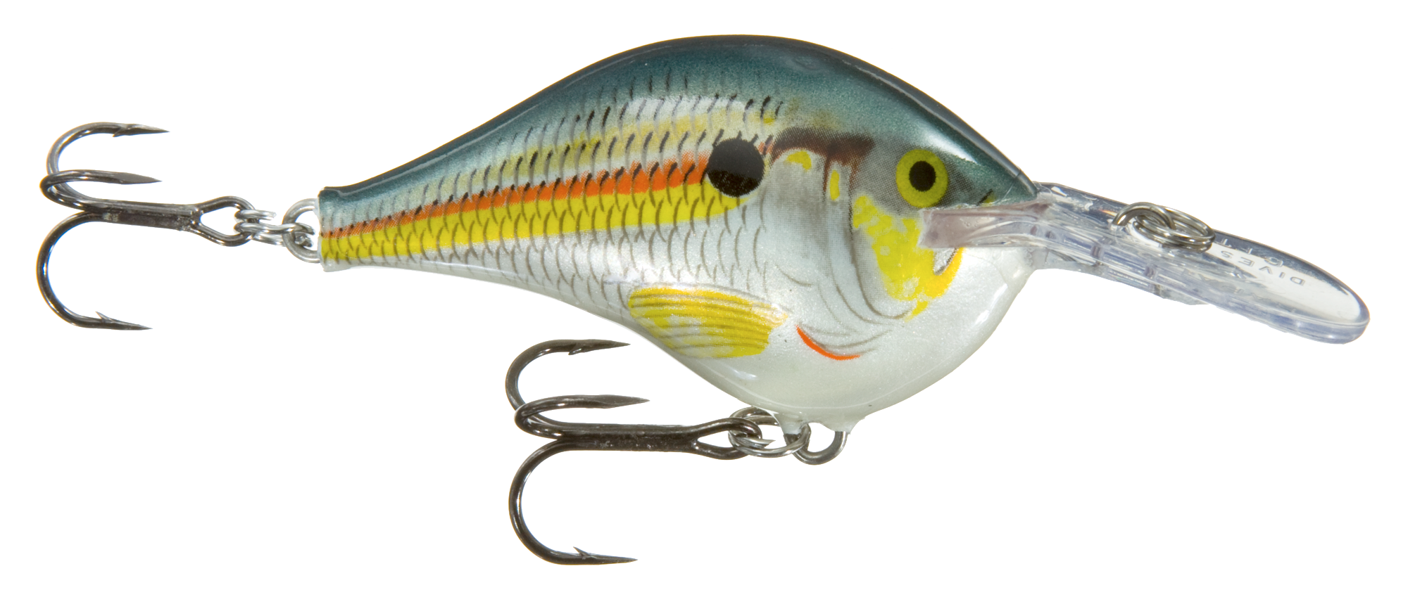 Summer Bass Fishing: The Best Baits For Catching Big Bass